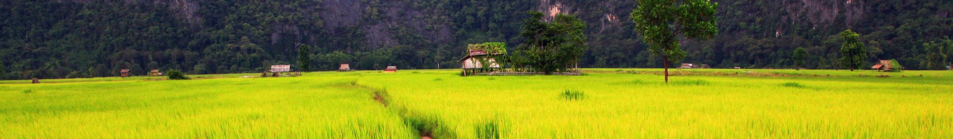 When to go to Laos ? Climate, Temperatures and Weather