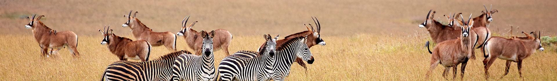 Traveling Malawi: our 5 tips