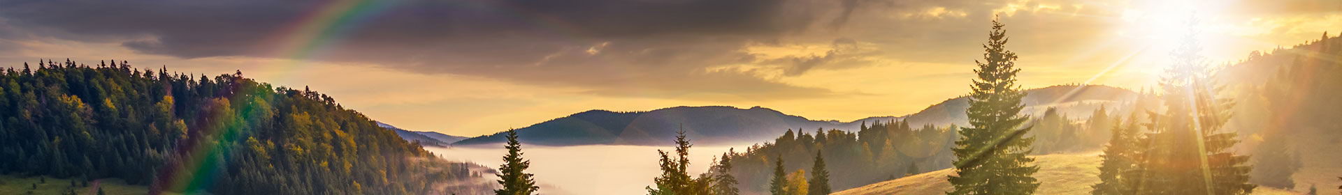 Bucharest : Climate, Temperature, Weather. The best periods!